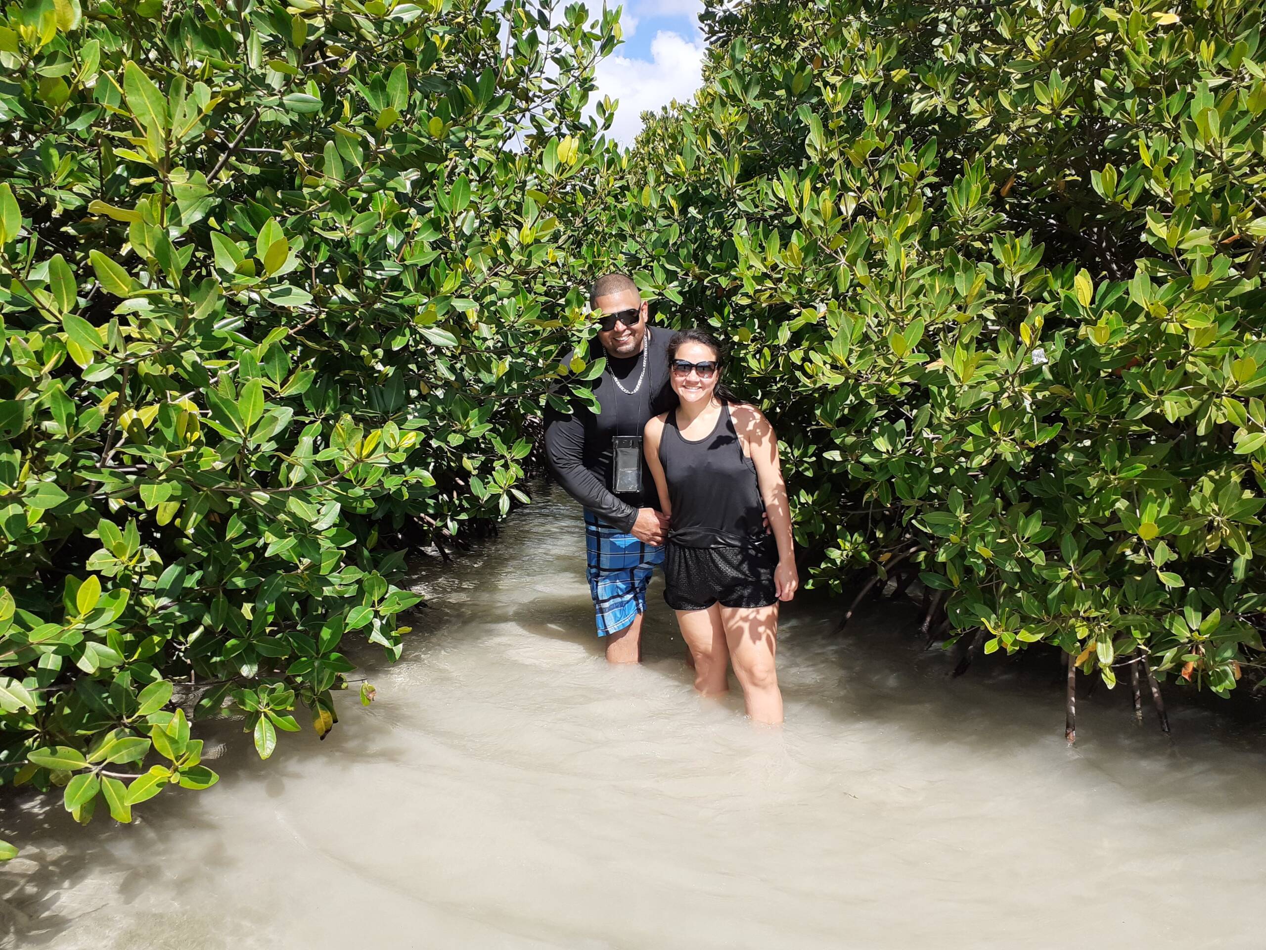 Exploring the Enchanting Waters of Aruba: A Clear Kayak Adventure ...
